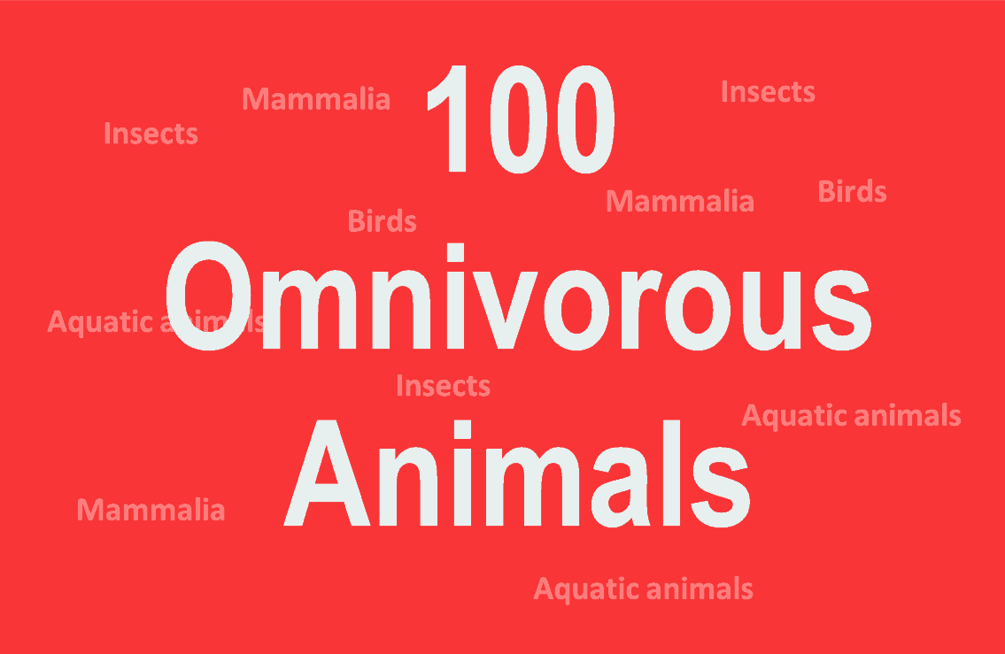 Omnivores Animals Name List | Insects, Birds, Aquatic Animals ... Omnivores Animals Name List | Insects, Birds, Aquatic Animals ...